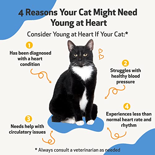 Pet Wellbeing Young at Heart for Cats - Vet-Formulated - Supports Cardiovascular (Heart & Circulatory) Health - Natural Herbal Supplement 2 oz (59 ml)