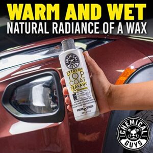 Chemical Guys WAC21016 Extreme Top Coat Wax & Sealant With Carnauba, Safe for Cars, Trucks, SUVs, Motorcycles, RVs & More, 16 fl oz