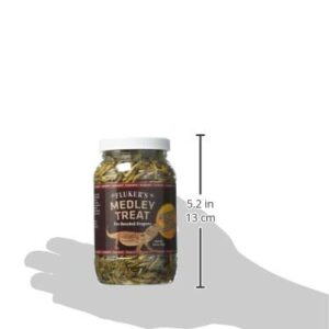 Fluker's Bearded Dragon Medley Treat Food, 3.2-Ounce (72023)