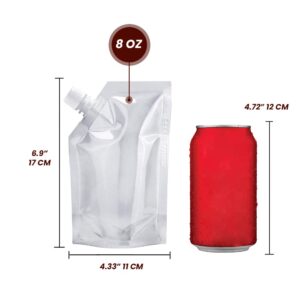 Concealable And Reusable Cruise Hidden bag Kit - Secret Flasks Cruise Liquor Bag Kit SIX (6) Durable Reusable Flasks With 2 Funnels