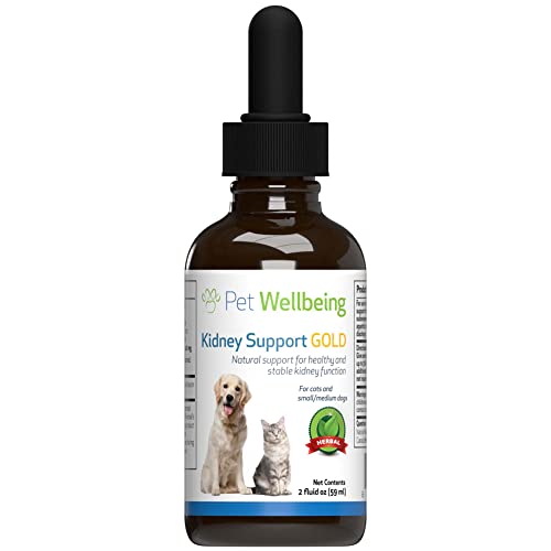 Pet Wellbeing Kidney Support Gold for Cats - Vet-Formulated - Supports Healthy Kidney Function in Cats - Natural Herbal Supplement 2 oz (59 ml)