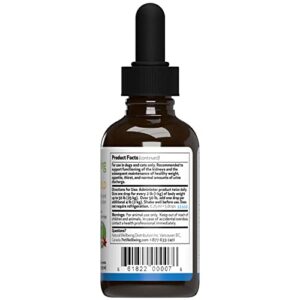 Pet Wellbeing Kidney Support Gold for Cats - Vet-Formulated - Supports Healthy Kidney Function in Cats - Natural Herbal Supplement 2 oz (59 ml)