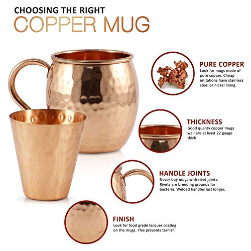 Advanced Mixology [Gift Set] Mule Science Moscow Mule Mugs Set of 4 (19 oz. large size) | 100% Handcrafted | Food Safe | Copper Mugs w/Accessories | Tarnish Resistant Copper Cups