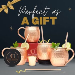 Advanced Mixology [Gift Set] Mule Science Moscow Mule Mugs Set of 4 (19 oz. large size) | 100% Handcrafted | Food Safe | Copper Mugs w/Accessories | Tarnish Resistant Copper Cups