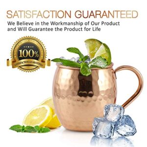 Advanced Mixology [Gift Set] Mule Science Moscow Mule Mugs Set of 4 (19 oz. large size) | 100% Handcrafted | Food Safe | Copper Mugs w/Accessories | Tarnish Resistant Copper Cups