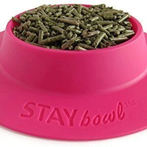 STAYbowl Tip-Proof Bowl for Guinea Pigs and Other Small Pets - Fuchsia (Pink) - Large 3/4 Cup Size New