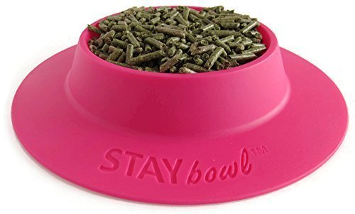 STAYbowl Tip-Proof Bowl for Guinea Pigs and Other Small Pets - Fuchsia (Pink) - Large 3/4 Cup Size New