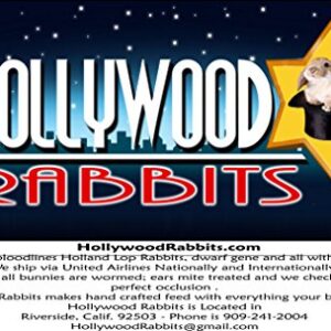 Hollywood Rabbit Feed