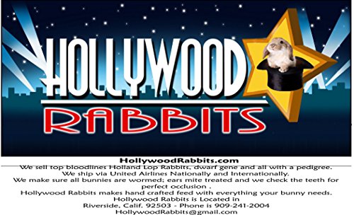 Hollywood Rabbit Feed