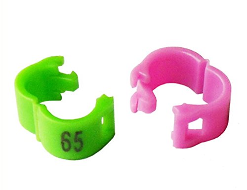 100pcs/lot 4mm 1-100 Numbered Clip snap Plastic Bird Ring Leg Bands Parrot Finch Canary Grouped (Green)