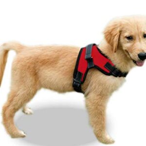 Copatchy No Pull Reflective Dog Harness (Small, red)