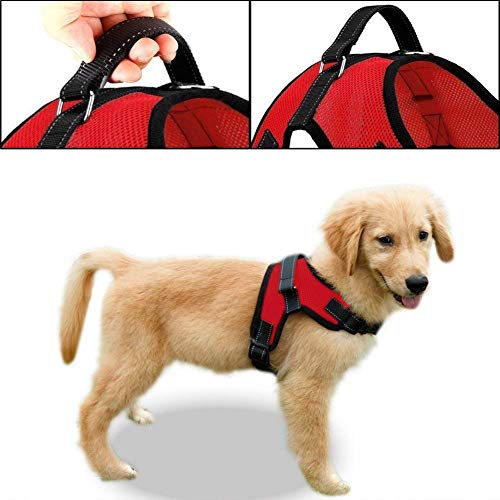 Copatchy No Pull Reflective Dog Harness (Small, red)