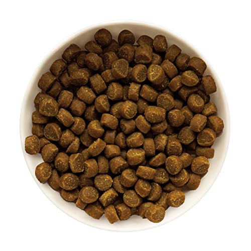 Zuke's Mini Naturals Dog Training Treats Beef Recipe, Soft Dog Treats - 16 oz. Pouch