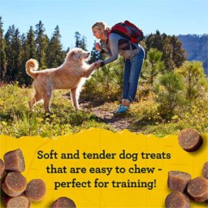 Zuke's Mini Naturals Dog Training Treats Beef Recipe, Soft Dog Treats - 16 oz. Pouch