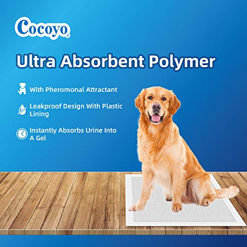 COCOYO Best Value Dog Training Pads, 22" by 22", 200 Count, BLUE