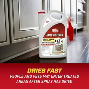 Ortho Home Defense Insect Killer for Indoor & Perimeter2 Ready-To-Use - With Trigger Sprayer, Long-Lasting Control, Kills Ants, Cockroaches, Spiders, Fleas & Ticks, Non-Staining, Odor Free, 1 gal.