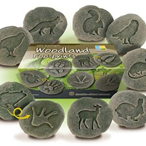 Yellow Door Let’s Investigate Woodland Footprints Double Sided Stones with Animal Tracks and Animal Picture, Create Fun Animal Games with Fossil Set, Stone, Set of 8, Toddler Toys for 3 Years & Up