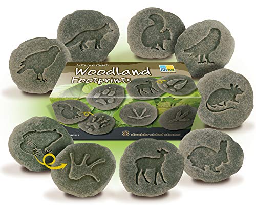 Yellow Door Let’s Investigate Woodland Footprints Double Sided Stones with Animal Tracks and Animal Picture, Create Fun Animal Games with Fossil Set, Stone, Set of 8, Toddler Toys for 3 Years & Up