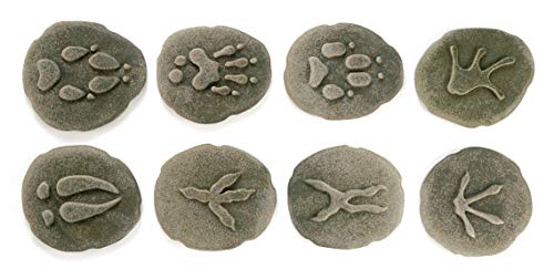 Yellow Door Let’s Investigate Woodland Footprints Double Sided Stones with Animal Tracks and Animal Picture, Create Fun Animal Games with Fossil Set, Stone, Set of 8, Toddler Toys for 3 Years & Up