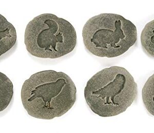 Yellow Door Let’s Investigate Woodland Footprints Double Sided Stones with Animal Tracks and Animal Picture, Create Fun Animal Games with Fossil Set, Stone, Set of 8, Toddler Toys for 3 Years & Up