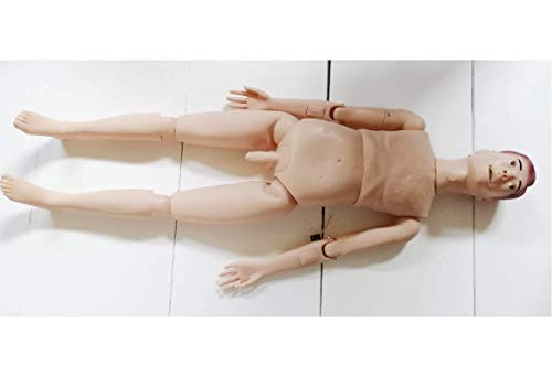 IntBuying Life Size Male Education Mannequin Model Patient Care Teaching Human Manikin Man for Education Study, Manikin for Nurse Training, Male Medical Mannequin Full Body