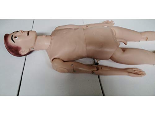 IntBuying Life Size Male Education Mannequin Model Patient Care Teaching Human Manikin Man for Education Study, Manikin for Nurse Training, Male Medical Mannequin Full Body