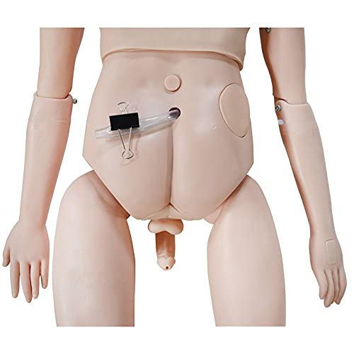 IntBuying Life Size Male Education Mannequin Model Patient Care Teaching Human Manikin Man for Education Study, Manikin for Nurse Training, Male Medical Mannequin Full Body