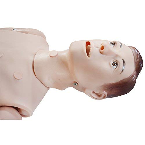 IntBuying Life Size Male Education Mannequin Model Patient Care Teaching Human Manikin Man for Education Study, Manikin for Nurse Training, Male Medical Mannequin Full Body