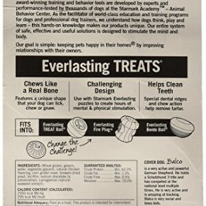 Starmark Everlasting Treat Chicken (Large, 4-Pack)