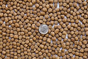 america's best koi food 20 lbs koi fish food 3/16 inch - 1/4 inch large floating pond pellets - heavy duty sealed bag