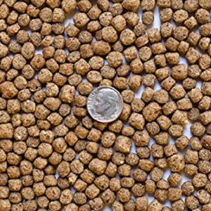 America's Best Koi Food 20 lbs Koi Fish Food 3/16 Inch - 1/4 Inch Large Floating Pond Pellets - Heavy Duty Sealed Bag