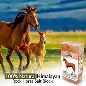 Himalayan Nature 100% Natural Himalayan Rock Salt Block - Mineral Salt Licking Brick for Animals, Horses & Deer | 5 LBS, 5-8 LBS