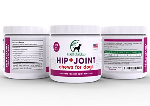 Genuine Naturals™ Hip and Joint Supplement for Dogs - Glucosamine Chondroitin, MSM, Organic Turmeric Soft Chews, Dog Vitamins, Supports Healthy Joint Function and Helps with Pain Relief,120 Count