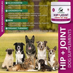 Genuine Naturals™ Hip and Joint Supplement for Dogs - Glucosamine Chondroitin, MSM, Organic Turmeric Soft Chews, Dog Vitamins, Supports Healthy Joint Function and Helps with Pain Relief,120 Count