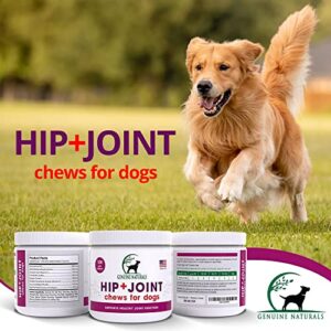 Genuine Naturals™ Hip and Joint Supplement for Dogs - Glucosamine Chondroitin, MSM, Organic Turmeric Soft Chews, Dog Vitamins, Supports Healthy Joint Function and Helps with Pain Relief,120 Count