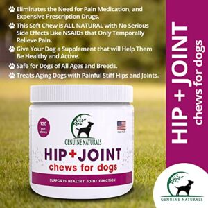 Genuine Naturals™ Hip and Joint Supplement for Dogs - Glucosamine Chondroitin, MSM, Organic Turmeric Soft Chews, Dog Vitamins, Supports Healthy Joint Function and Helps with Pain Relief,120 Count