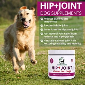 Genuine Naturals™ Hip and Joint Supplement for Dogs - Glucosamine Chondroitin, MSM, Organic Turmeric Soft Chews, Dog Vitamins, Supports Healthy Joint Function and Helps with Pain Relief,120 Count