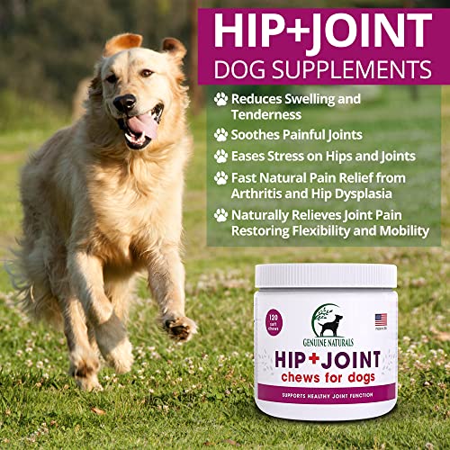 Genuine Naturals™ Hip and Joint Supplement for Dogs - Glucosamine Chondroitin, MSM, Organic Turmeric Soft Chews, Dog Vitamins, Supports Healthy Joint Function and Helps with Pain Relief,120 Count