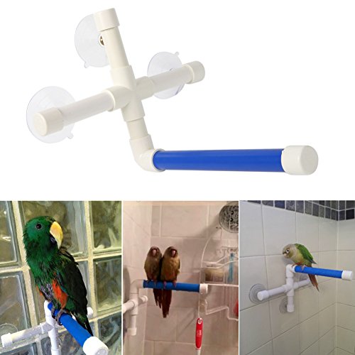 OTGO Parrot Folding Bath Shower Standing Platform Rack Perch Wall Suction Cup Pet Toy