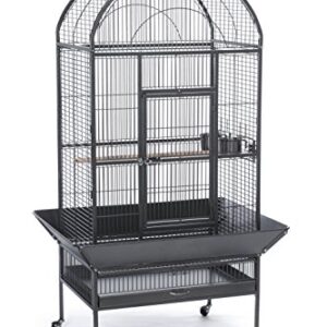 Prevue Pet Products 34531 Hammer Tone Dome Top Bird Cage, Large, Black