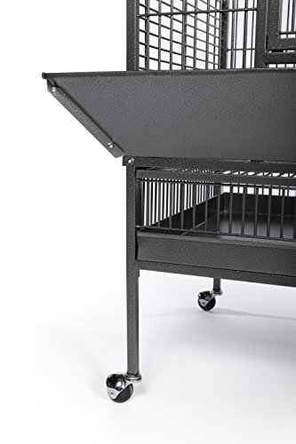 Prevue Pet Products 34531 Hammer Tone Dome Top Bird Cage, Large, Black