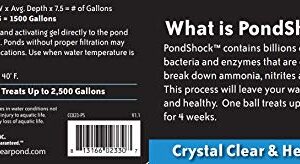 CrystalClear PondShock Ball, Natural Enzymes & Live Bacteria, Freshwater Clarifier Shock Treatment, Muck & Sludge Remover for Small Pond & Outdoor Water Garden Ponds, Koi Fish & Aquatic Plants Safe