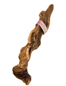 t-rex reptile terrarium decor - grapevine wood branch small (medium)