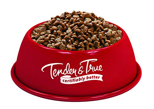 Tender & True Pet Nutrition Antibiotic-Free Chicken & Brown Rice Recipe Cat Food, 3 lb (32001)