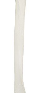 Axis Scientific Humerus Bone Model | Right | Cast from a Real Human Humerus Bone l Upper Arm Bone Model Has Realistic Texture and Important Bony Landmarks | Includes Product Manual