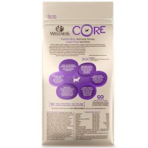 Wellness CORE Grain-Free Kitten Formula Dry Cat Food, 5 Pound Bag