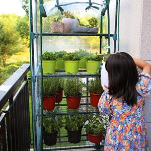 Worth Garden 4 Tier Mini Greenhouse - 63'' H x 27'' L x 19'' W - Sturdy Portable Gardening Shelves with PVC Cover - Small Green House Use in Indoor & Outdoor for Plants Flowers