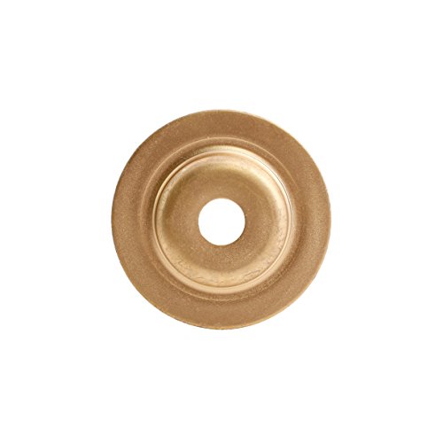 Hoof Boss Gold Fine Grit Flat 2" Disc