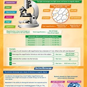 Daydream Education Microscopy | Science Posters | Gloss Paper measuring 33” x 23.5” | STEM Charts for the Classroom | Education Charts