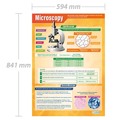 Daydream Education Microscopy | Science Posters | Gloss Paper measuring 33” x 23.5” | STEM Charts for the Classroom | Education Charts